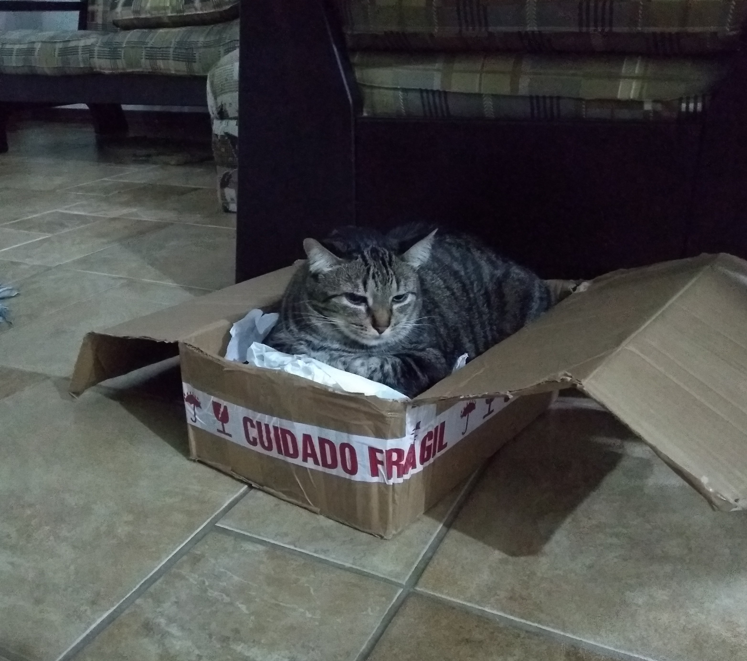 Fragile, please be careful | Scrolller