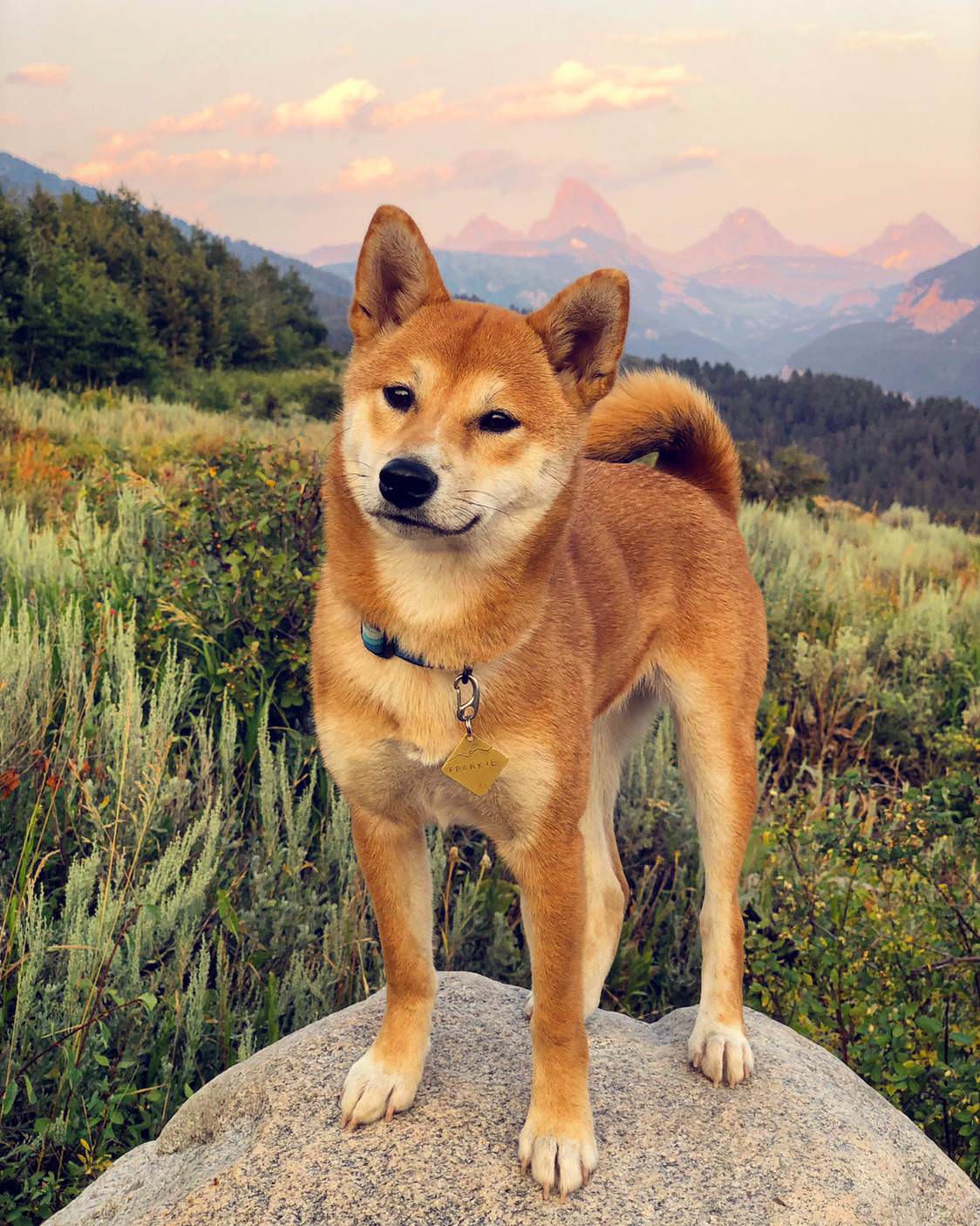 Frankie climbed her first mountain! | Scrolller