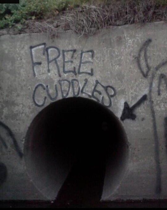 Free Cuddles... | Scrolller