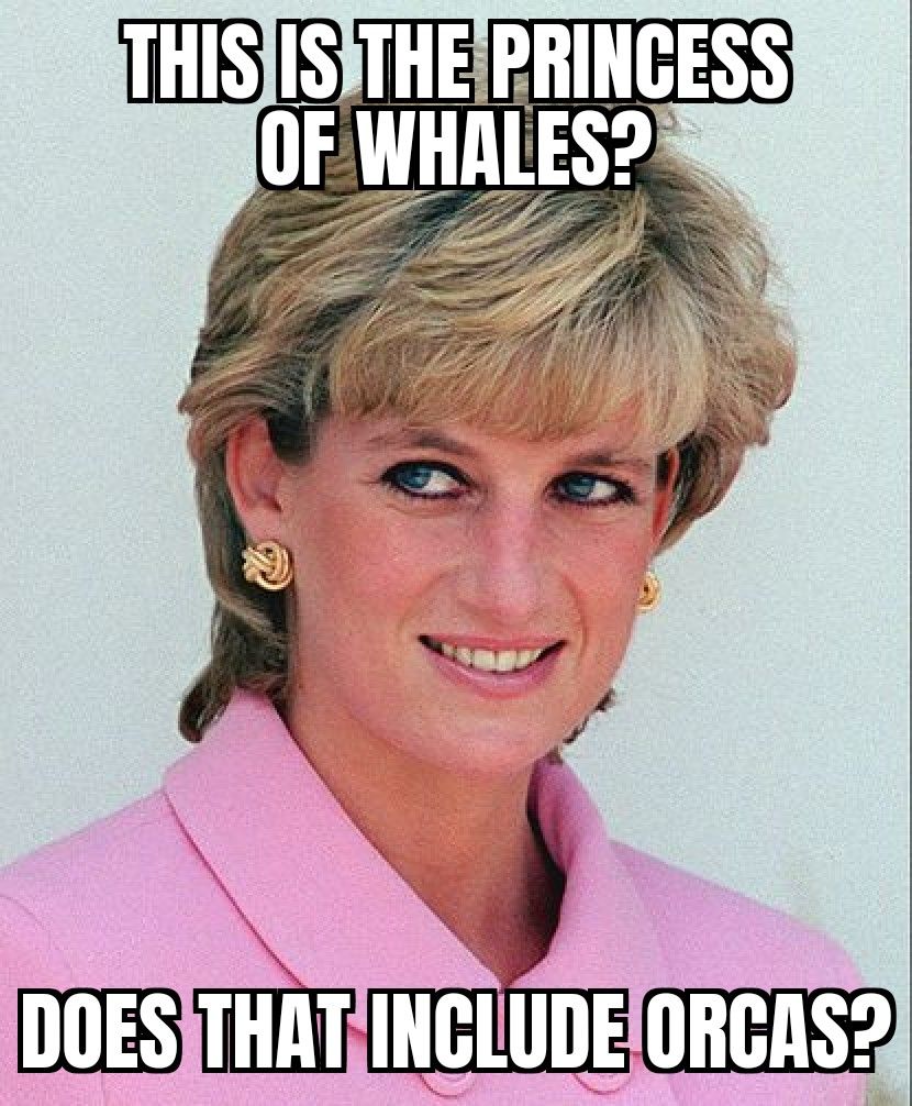 Free Willy | Scrolller