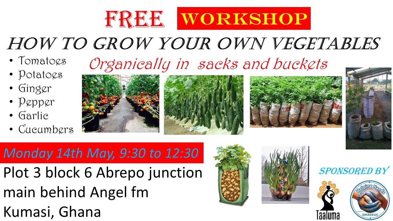 Free workshop in Kumasi May 14th - How to grow your own vegetables organically in sacks and ...