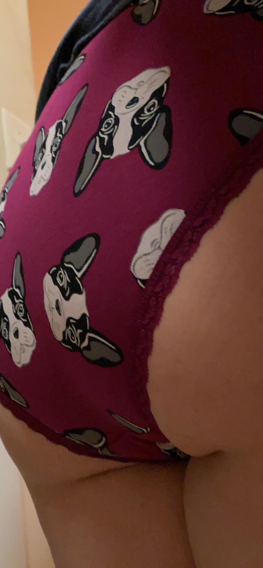 Frenchie panties | Scrolller