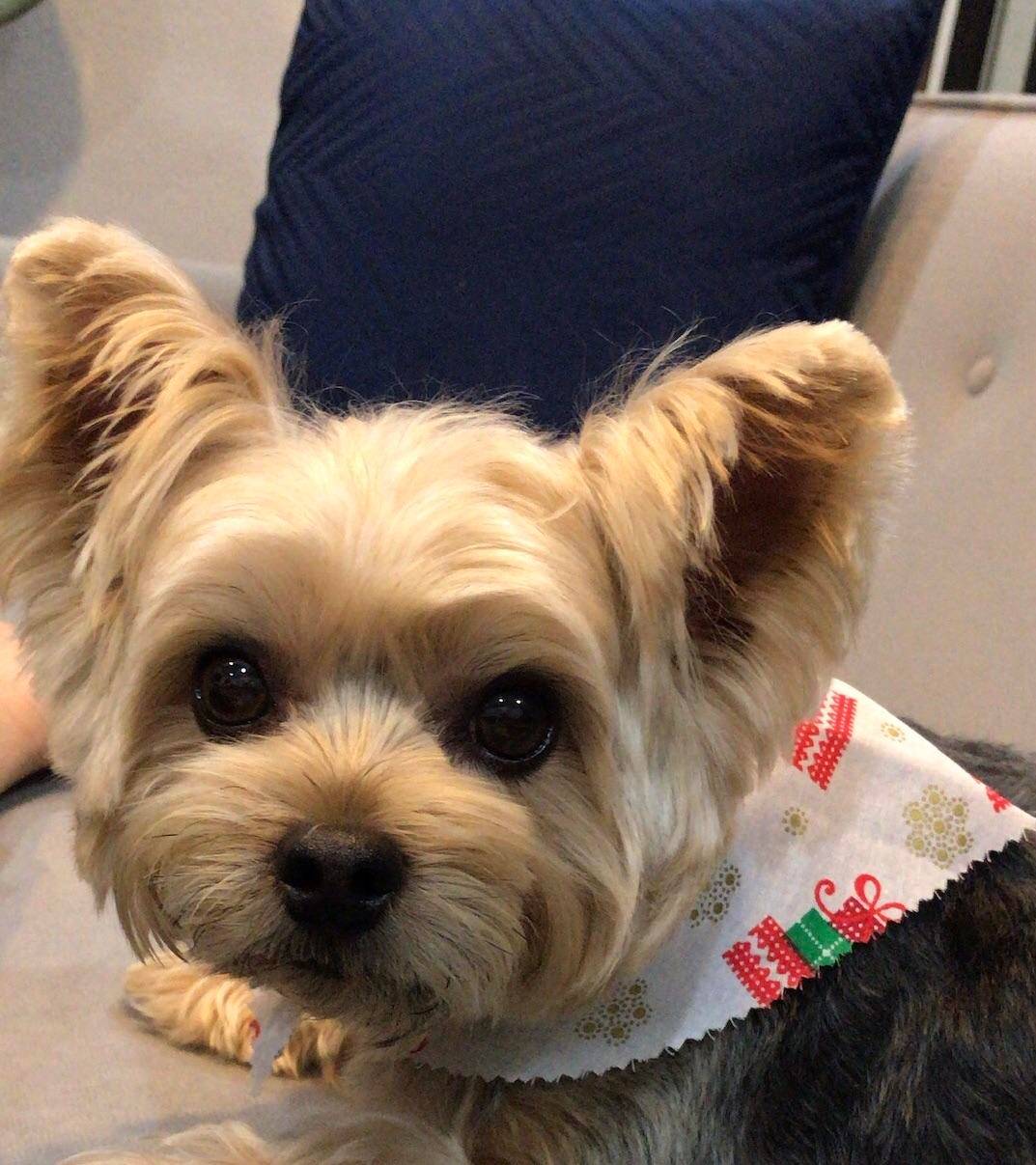 Fresh cut! | Scrolller