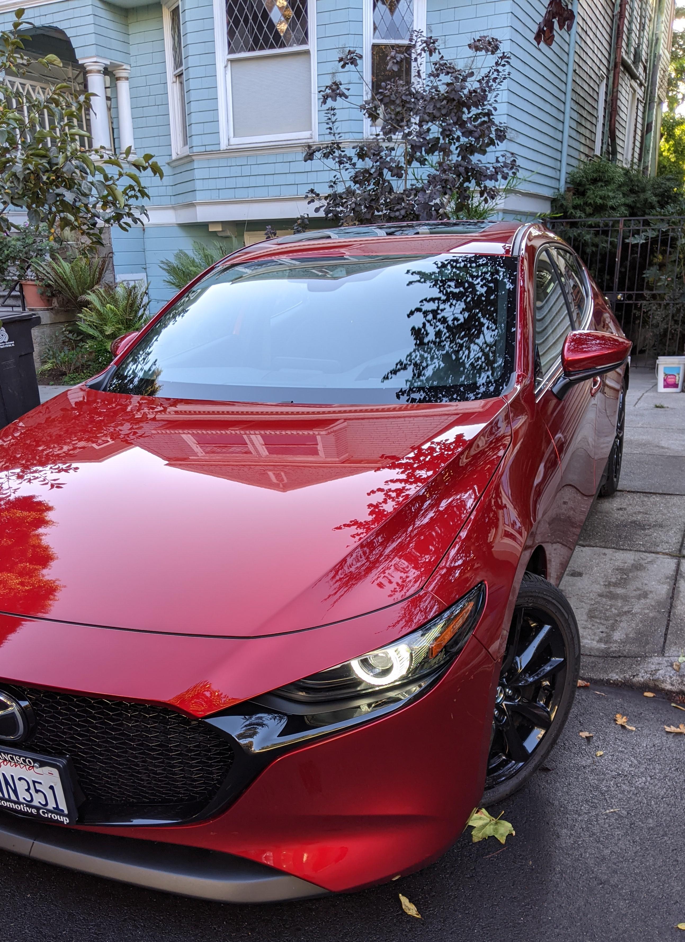 Freshly washed | Scrolller