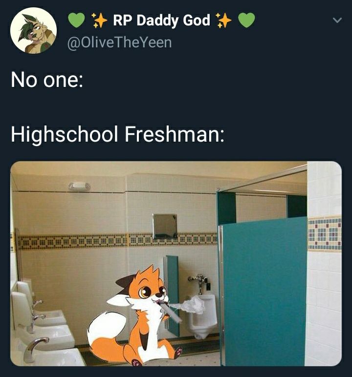Freshmen_irl | Scrolller