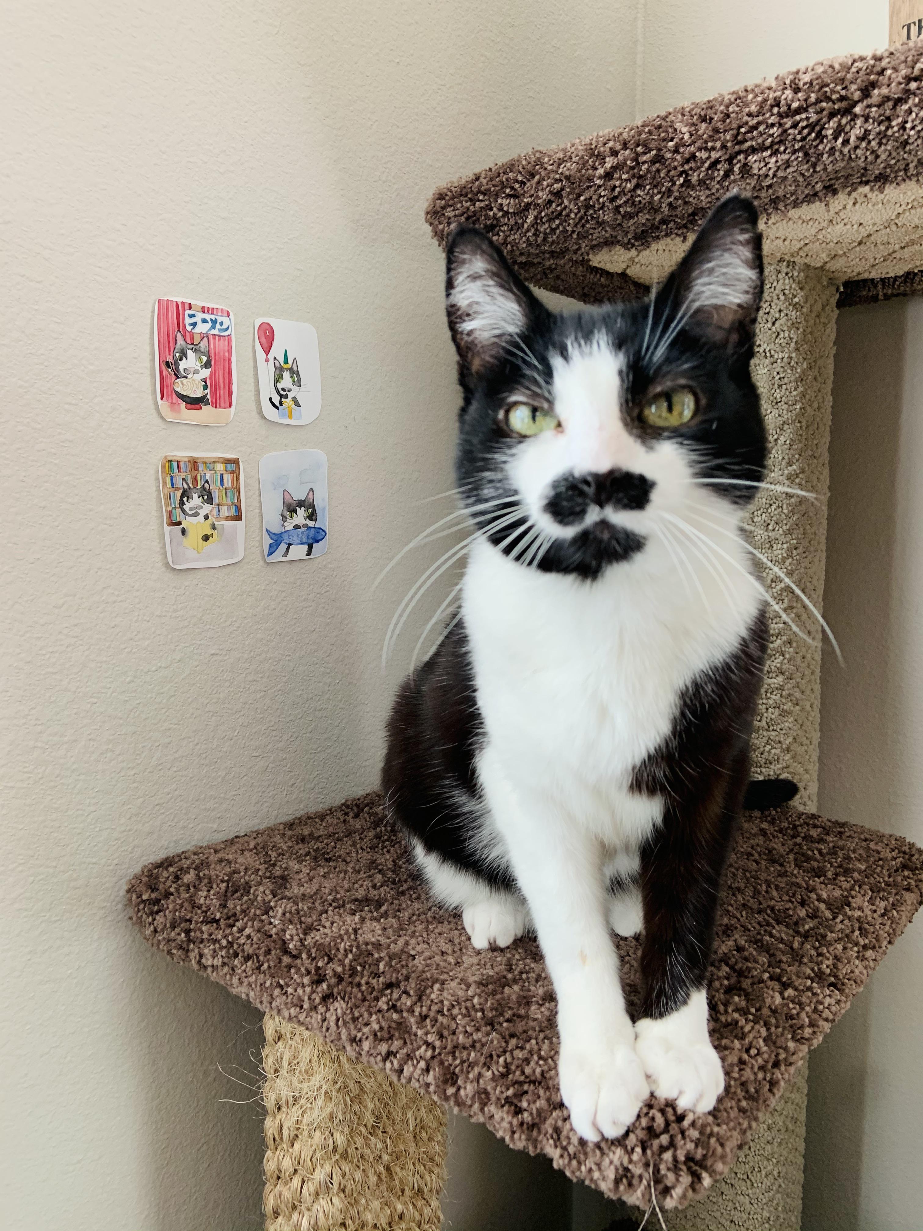 Frida and her gallery wall | Scrolller