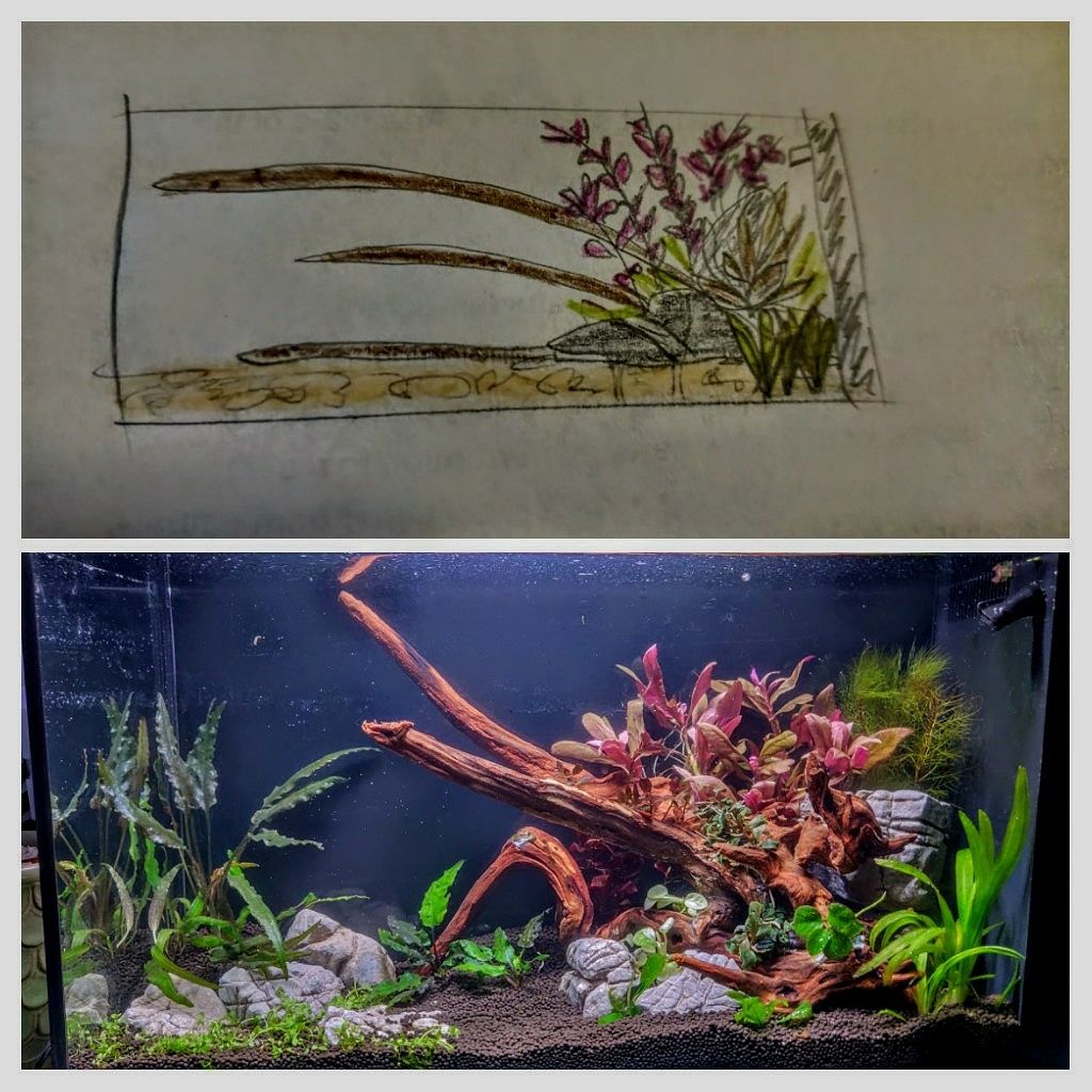 Friday night planning vs. Saturday night execution | Scrolller