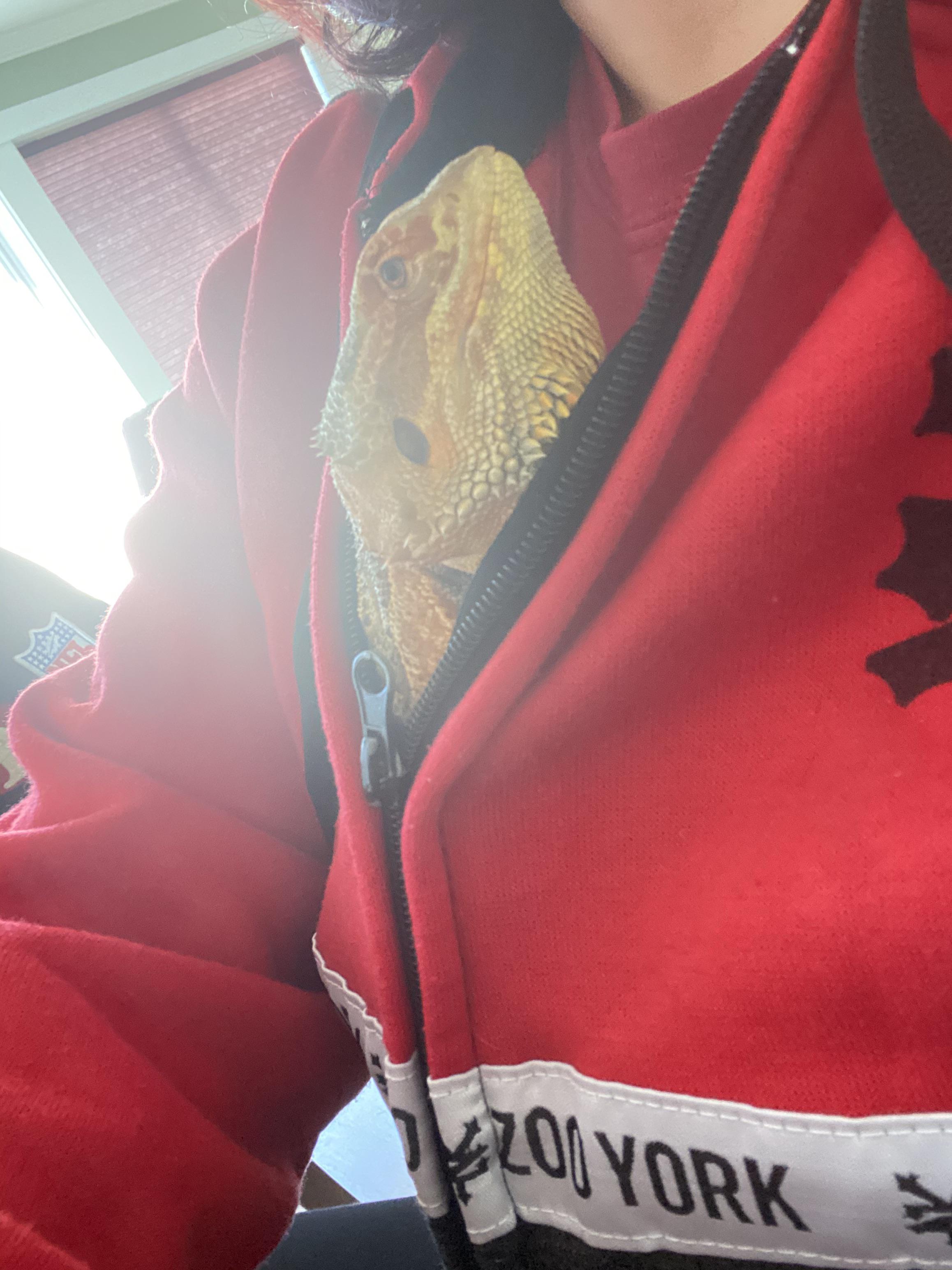 Frisco says Bonjour! | Scrolller