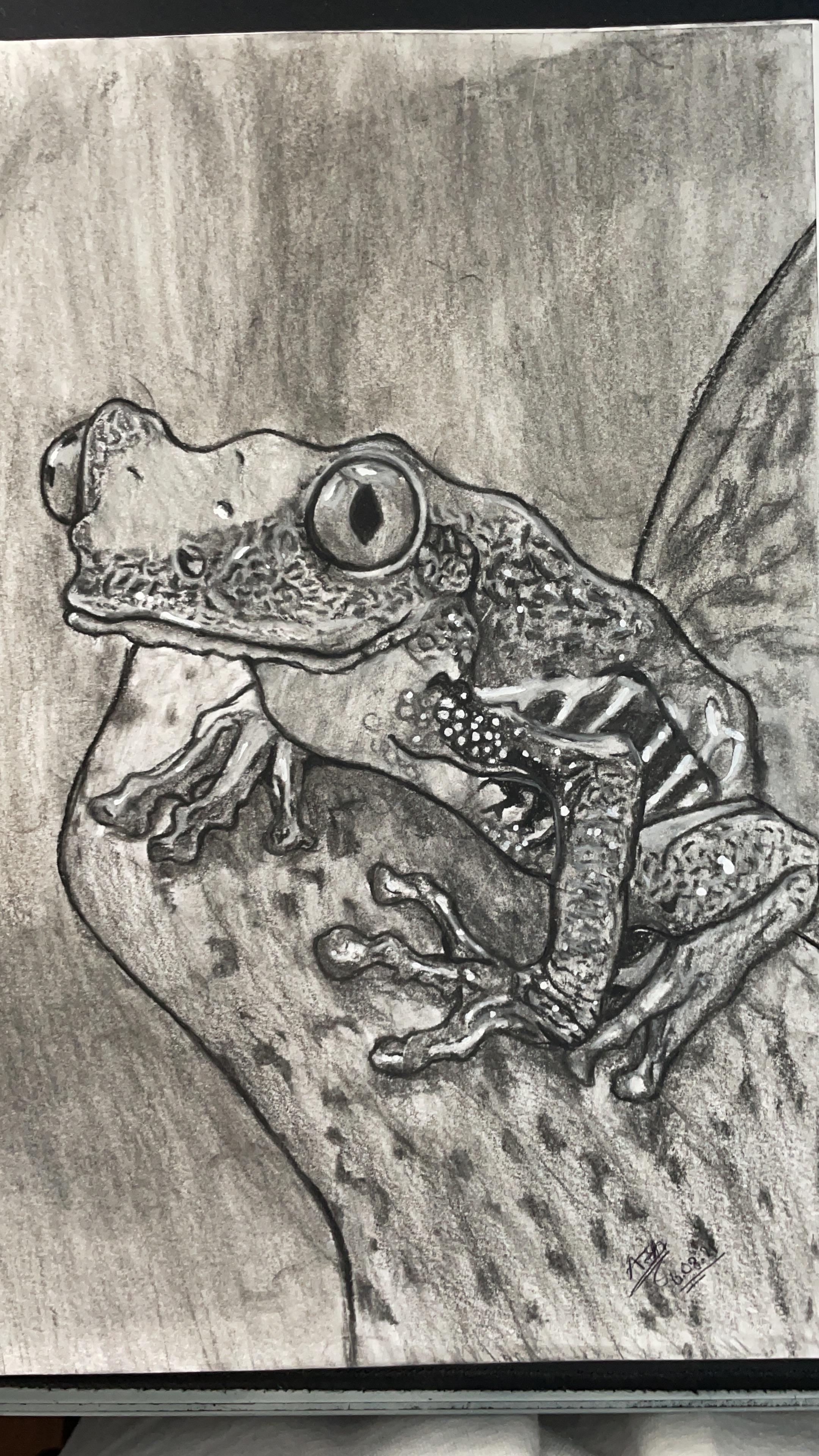 Frog,me,charcoal,2021 | Scrolller