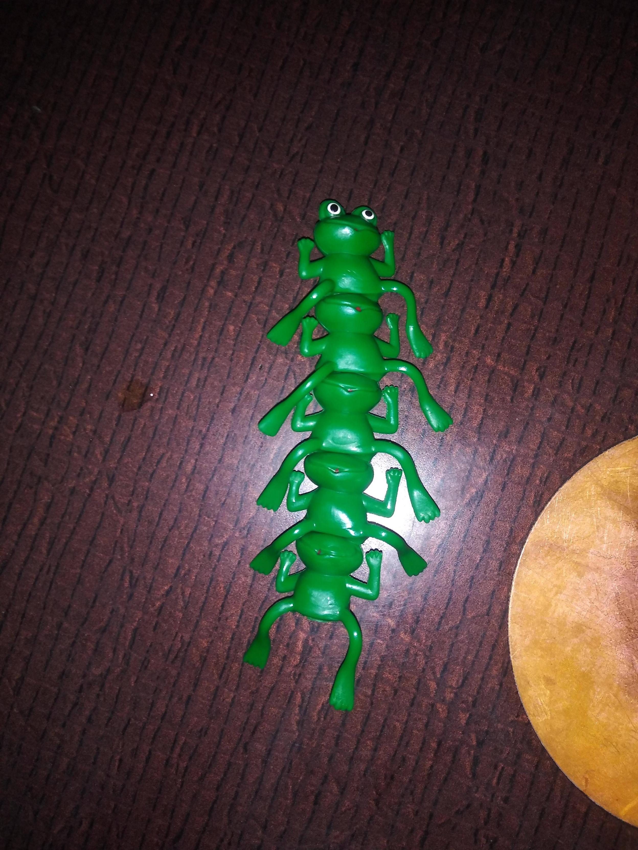 Froggy Centipede | Scrolller