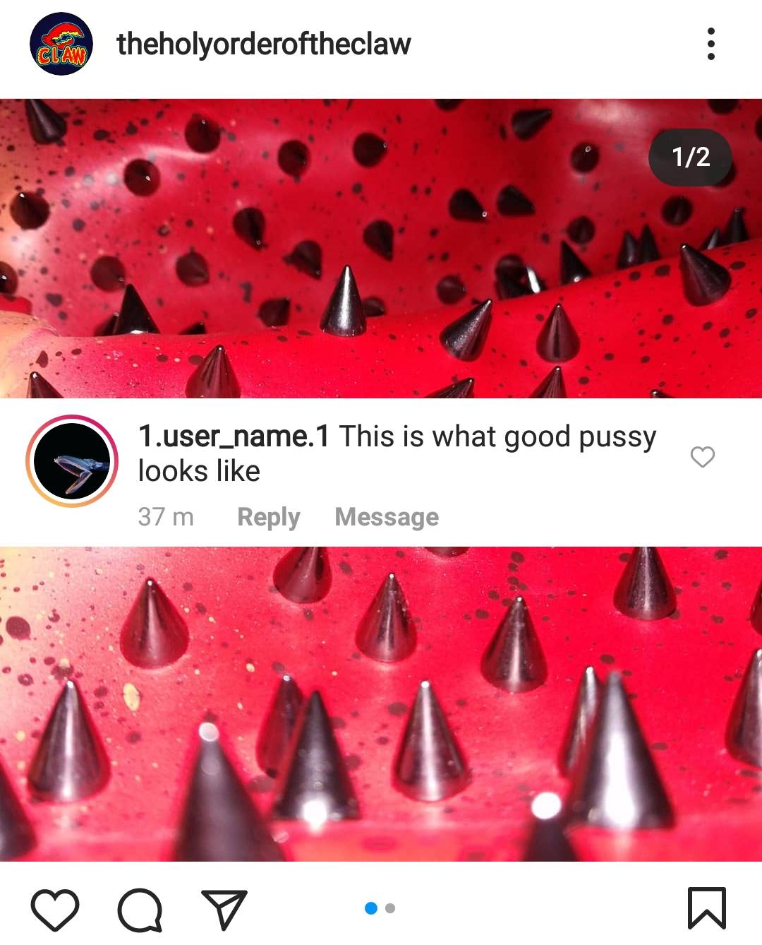 From our holy order of the claw instagram... | Scrolller