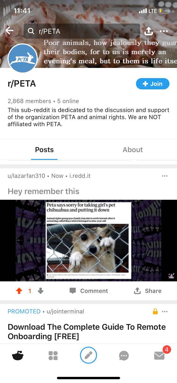 From peta | Scrolller