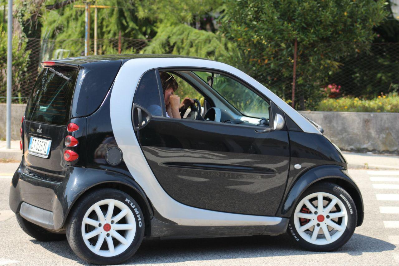 From rice to rice | Scrolller