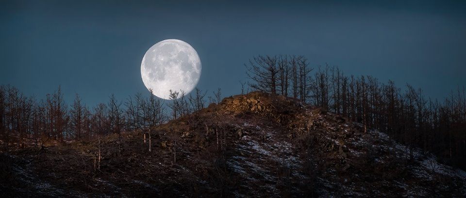 Full moon | Scrolller