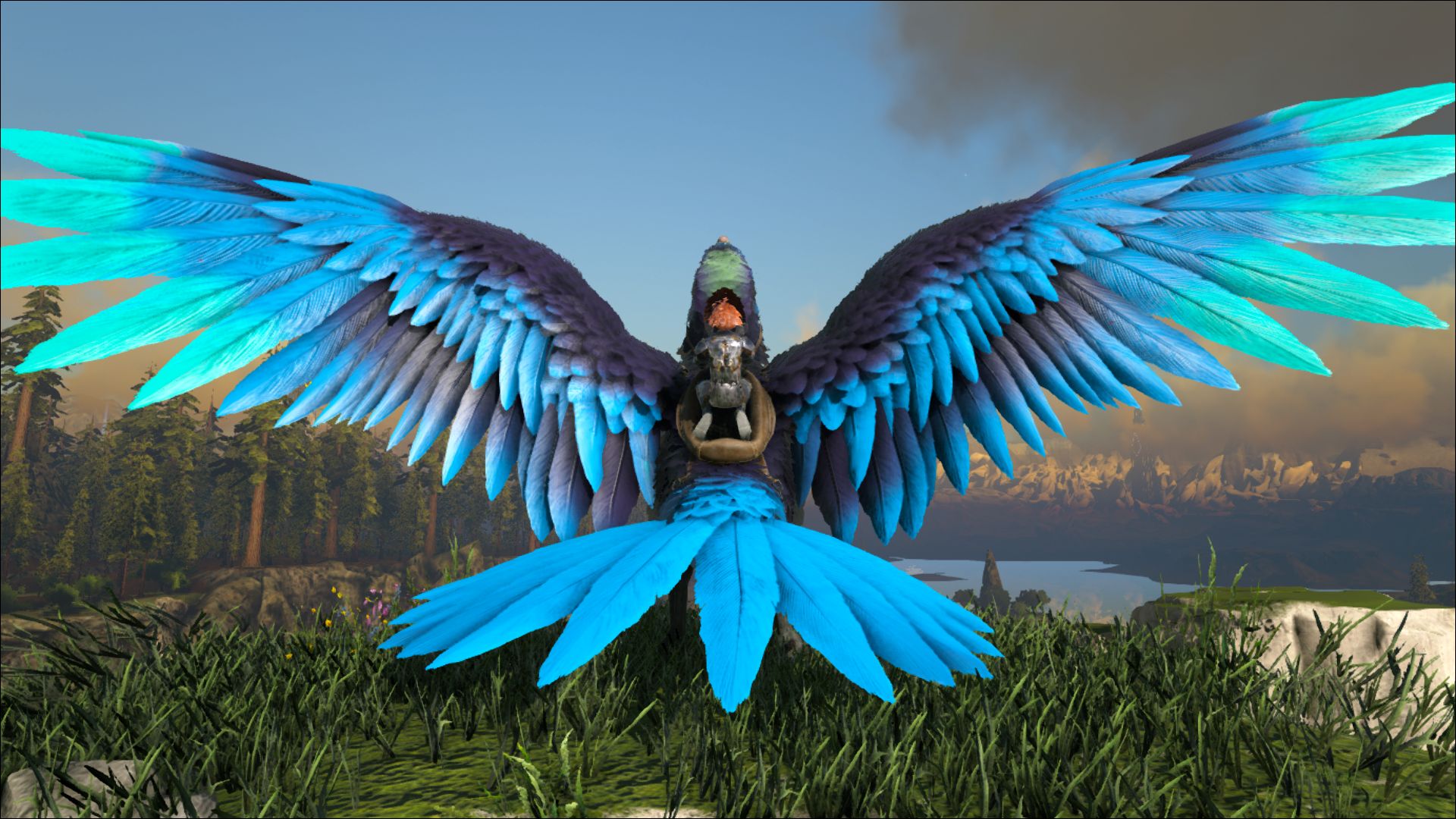 Full Mutation Argy, Teal Wingtip Edition! | Scrolller