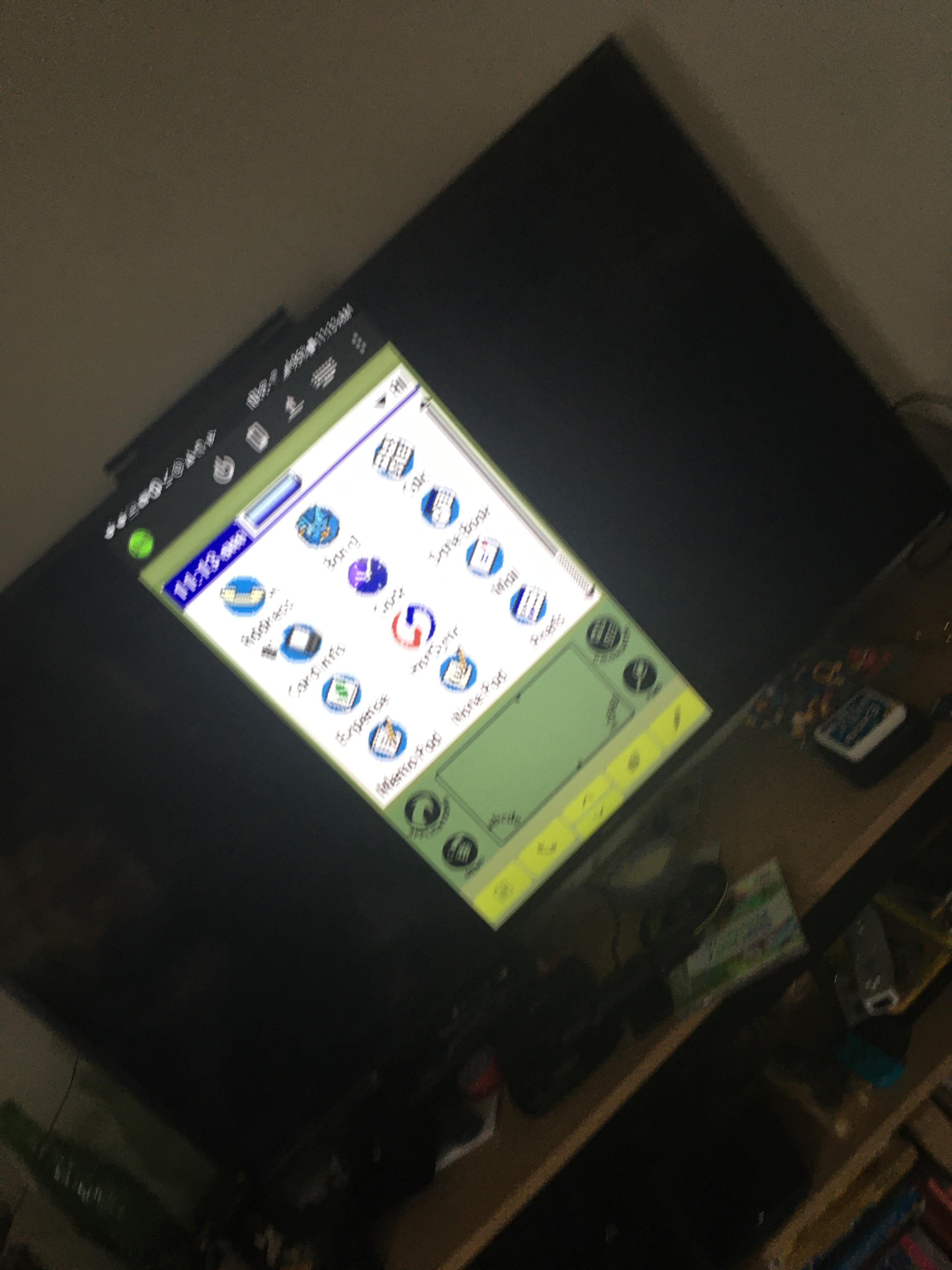 Full Screen Palm | Scrolller