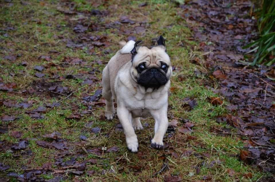 Full speed ahead! | Scrolller