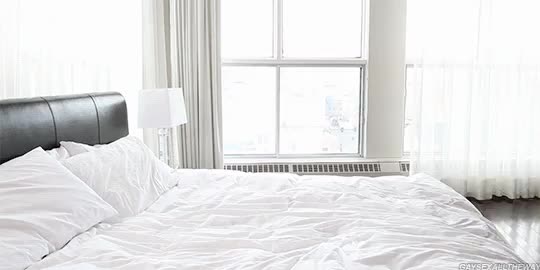 Full Steam Ahead | Scrolller