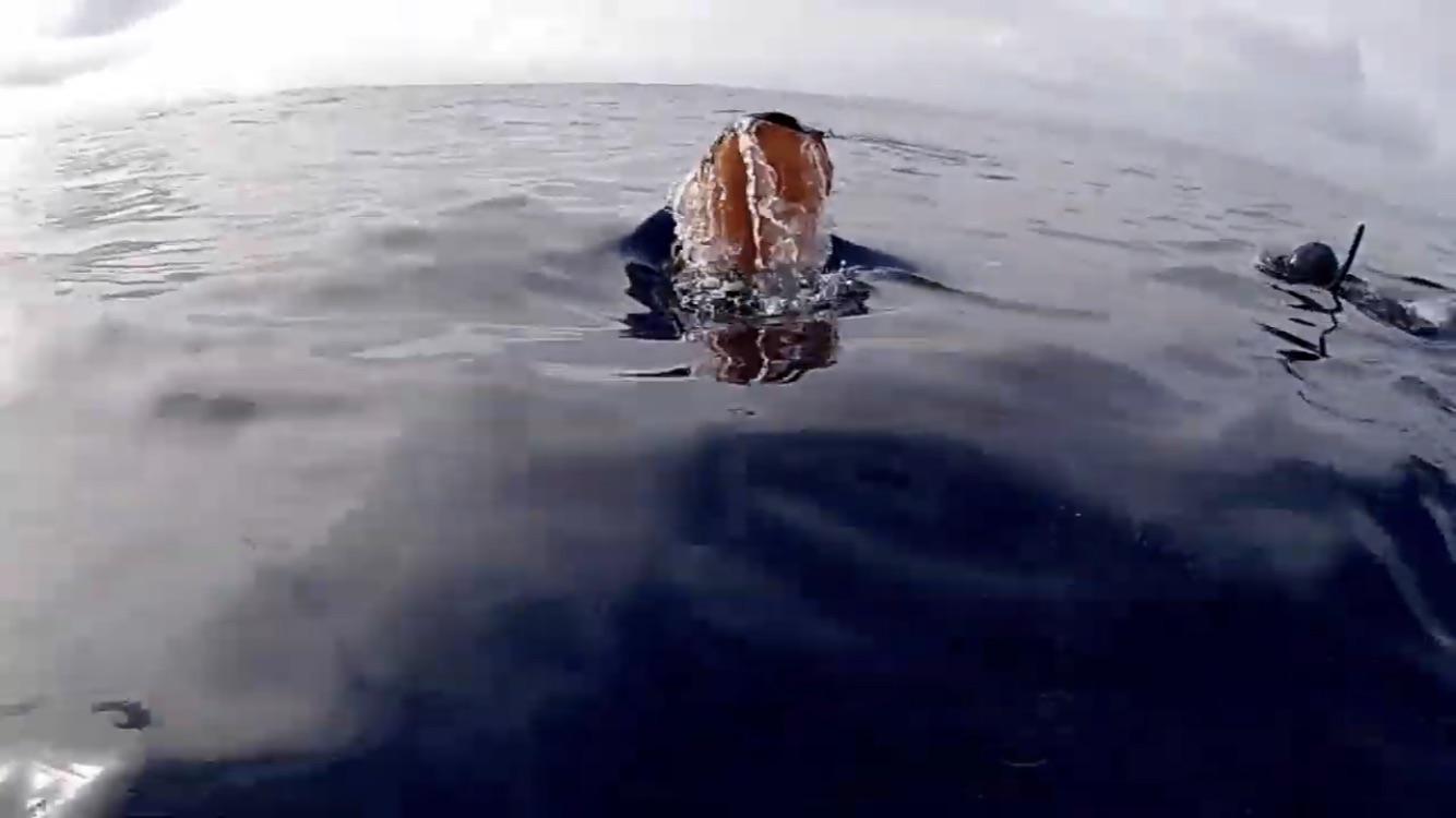 Fun times when the float goes down. | Scrolller