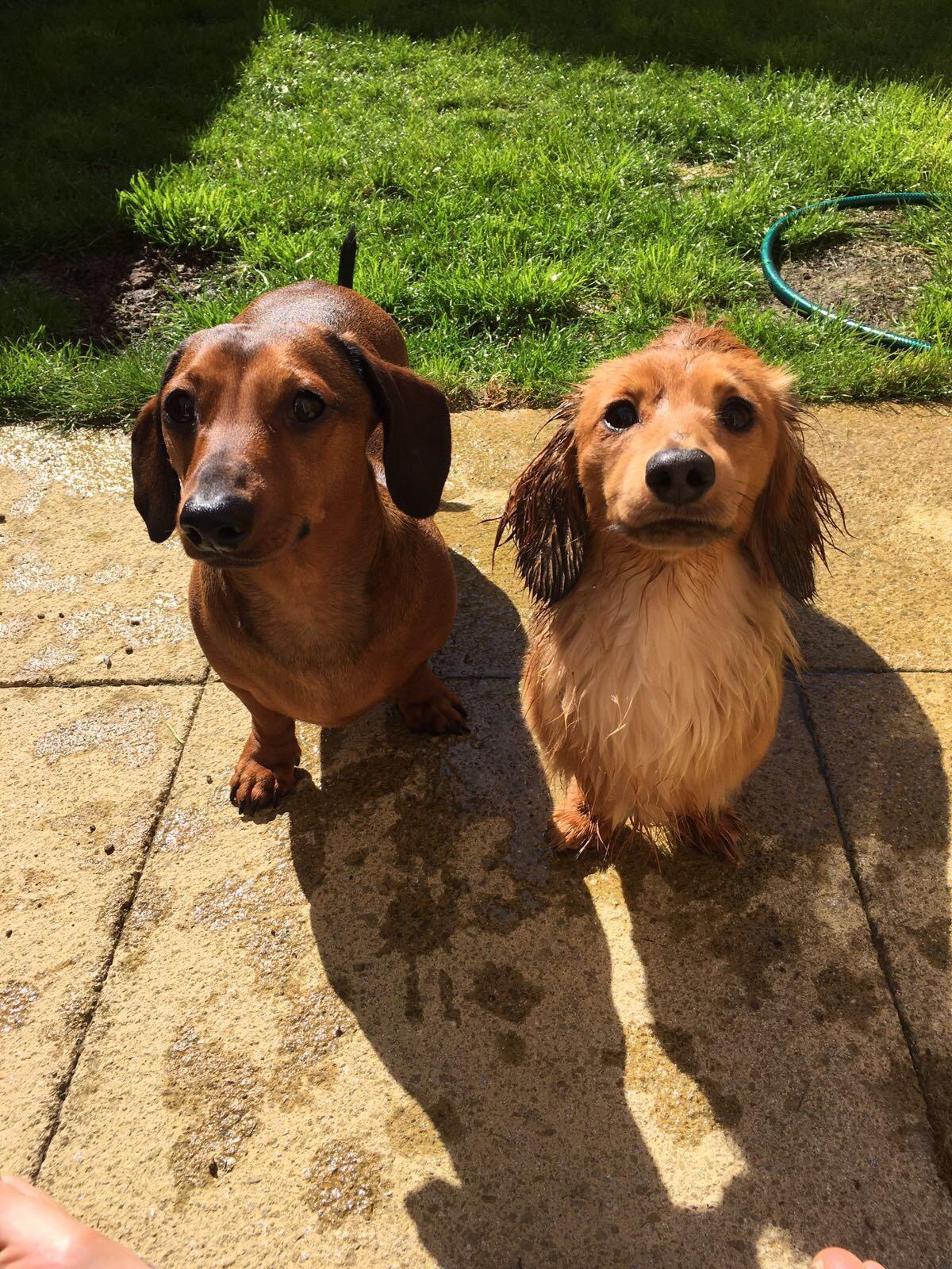 Fun with the hose pipe | Scrolller