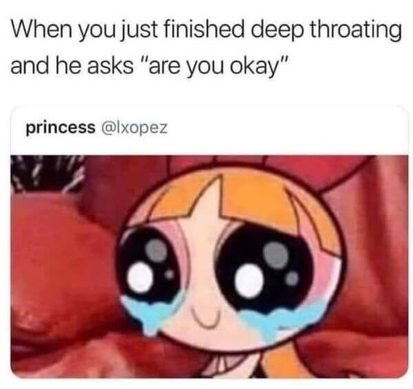 Funny Memes Scrolller