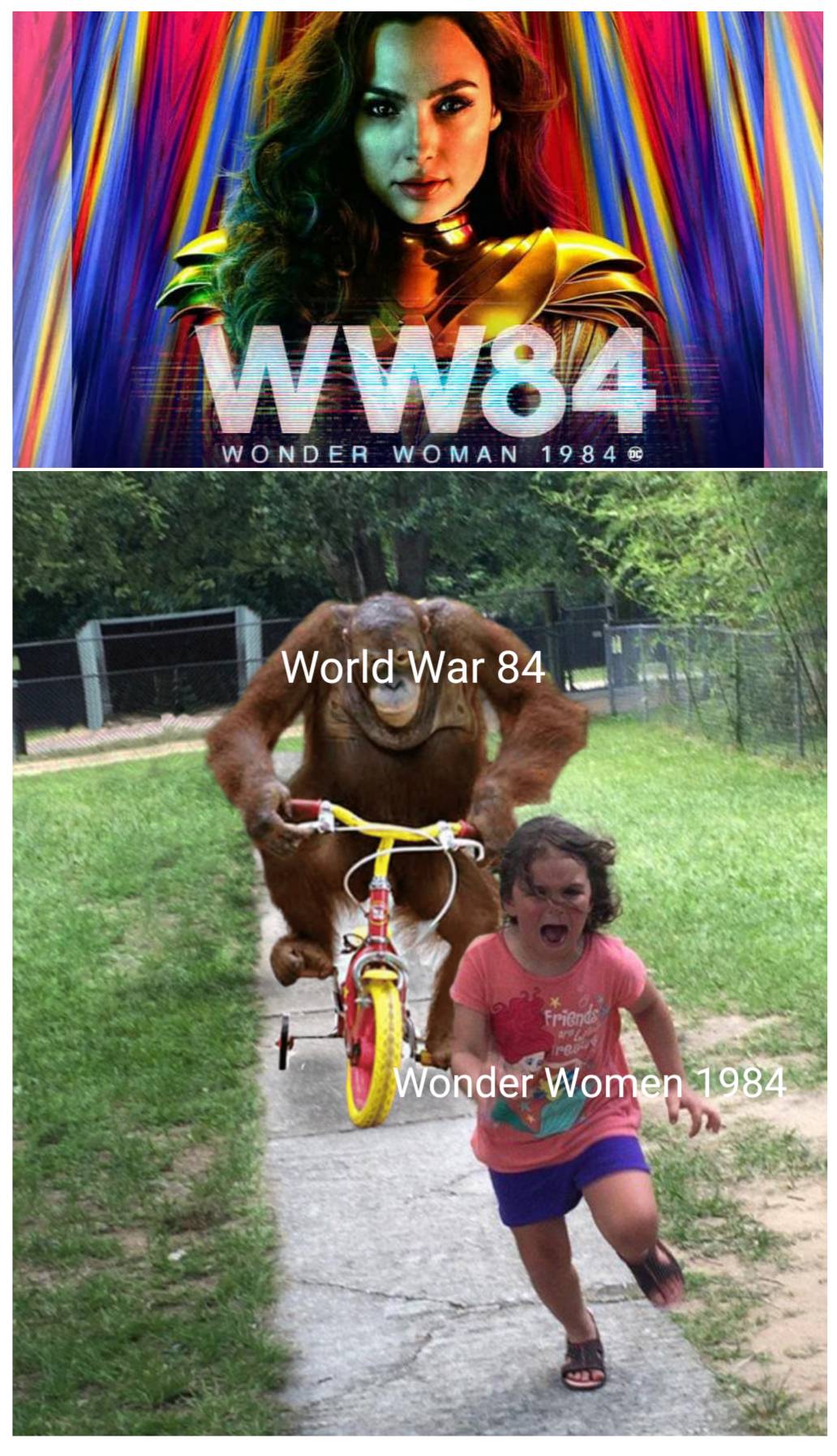 Funny monke haha | Scrolller