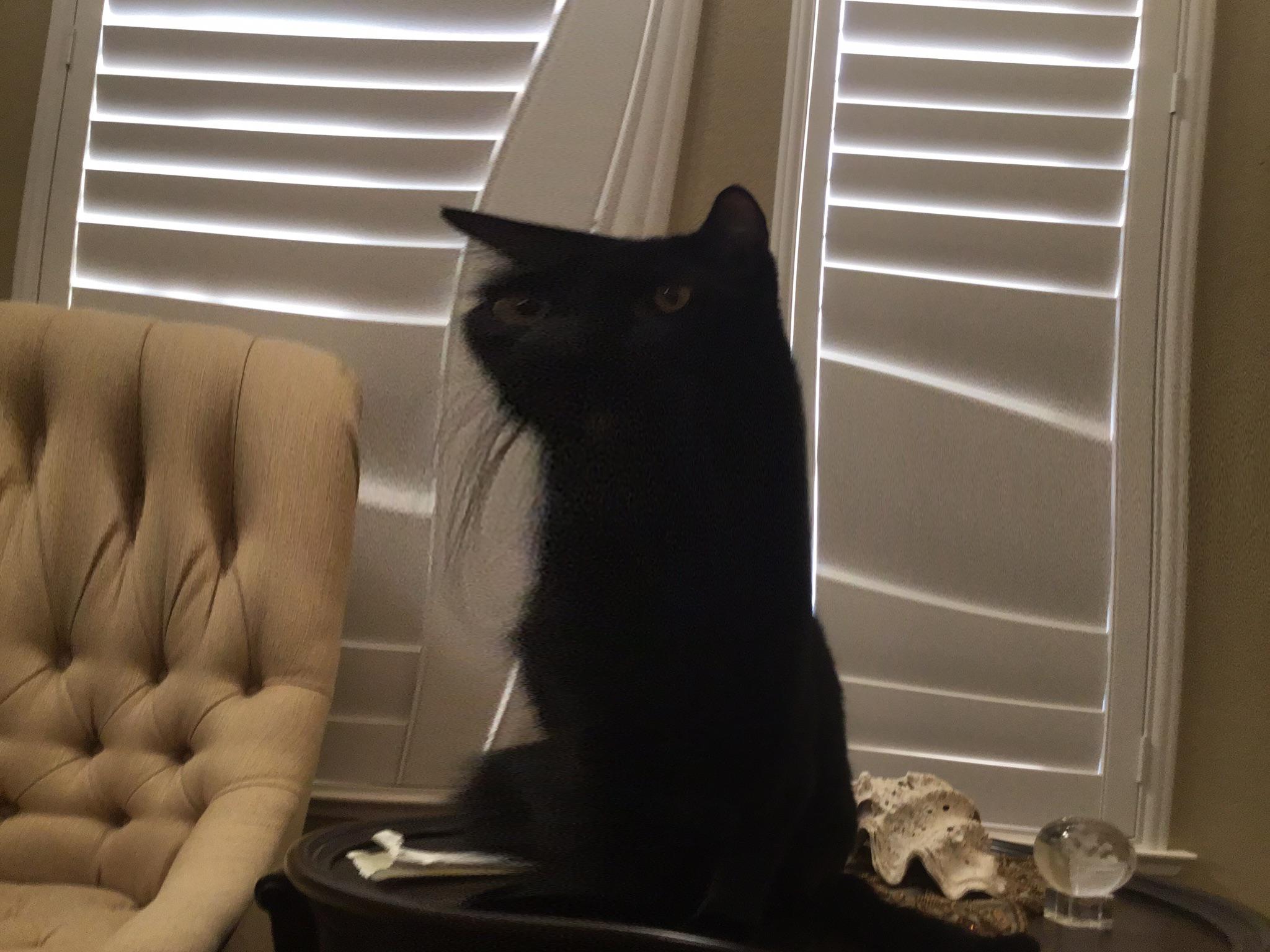 Funny right | Scrolller