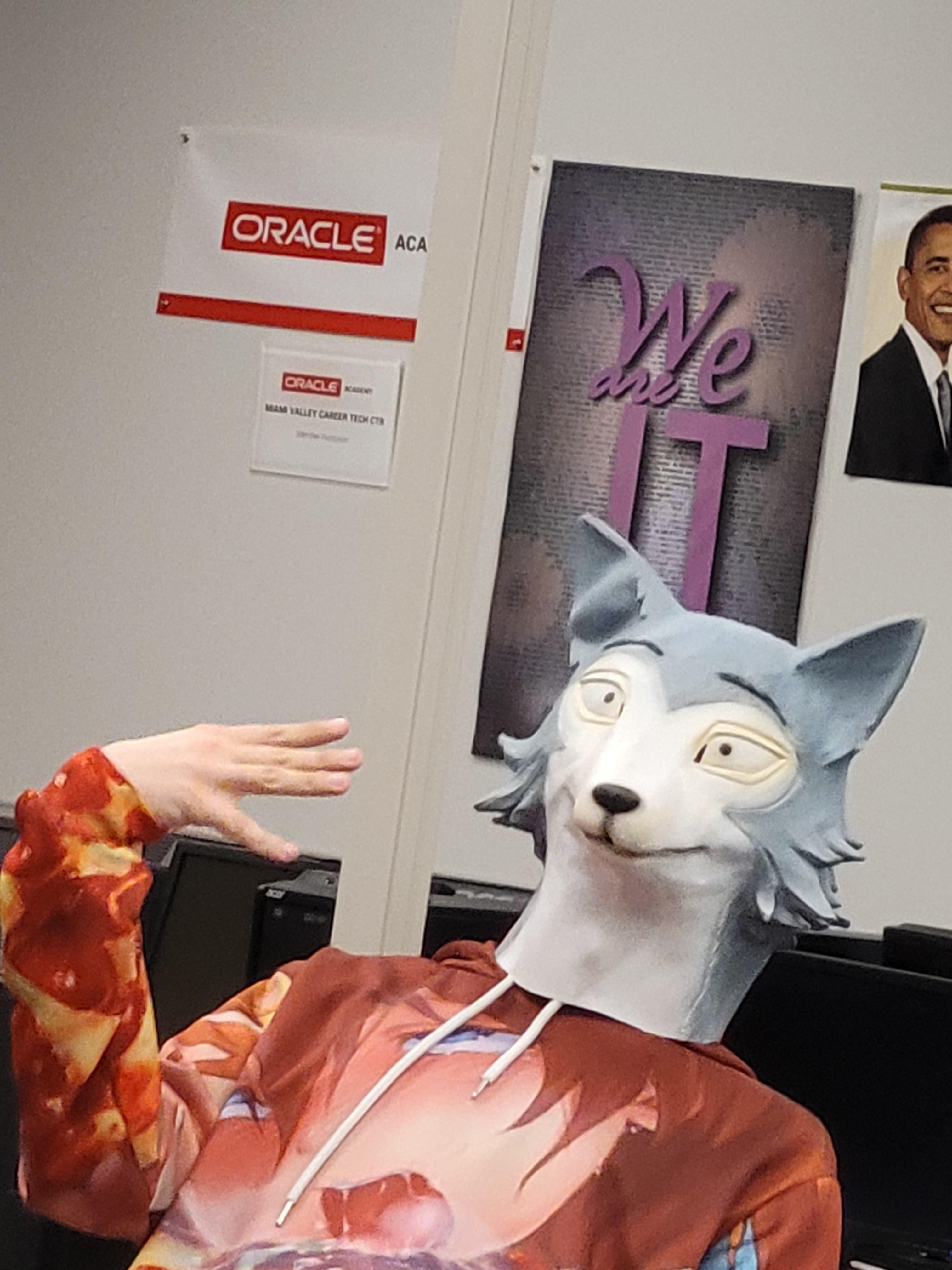 Furry_irl | Scrolller