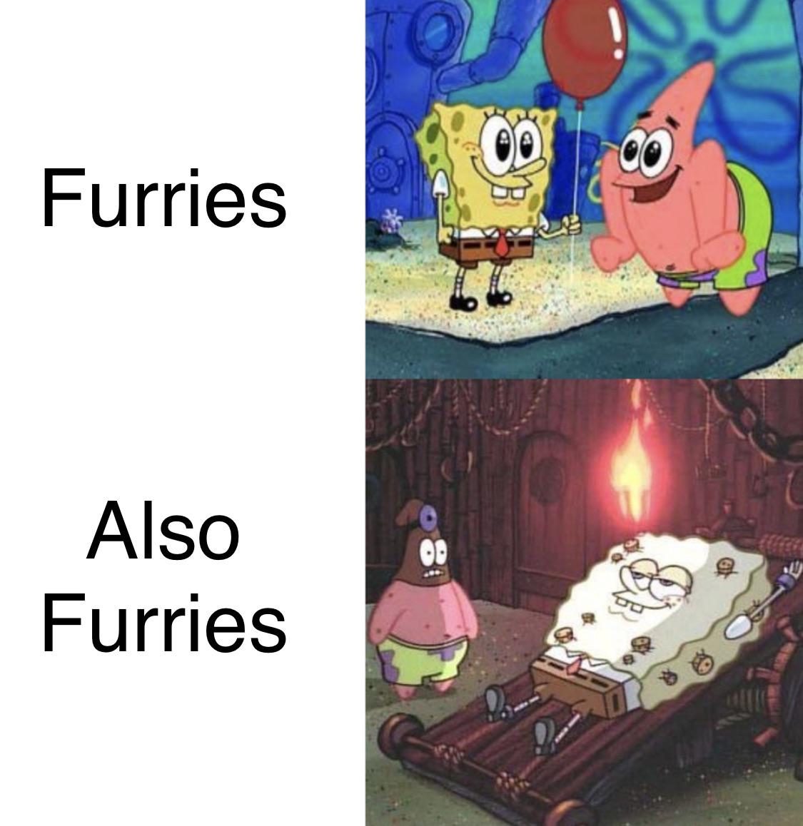 furry_irl | Scrolller