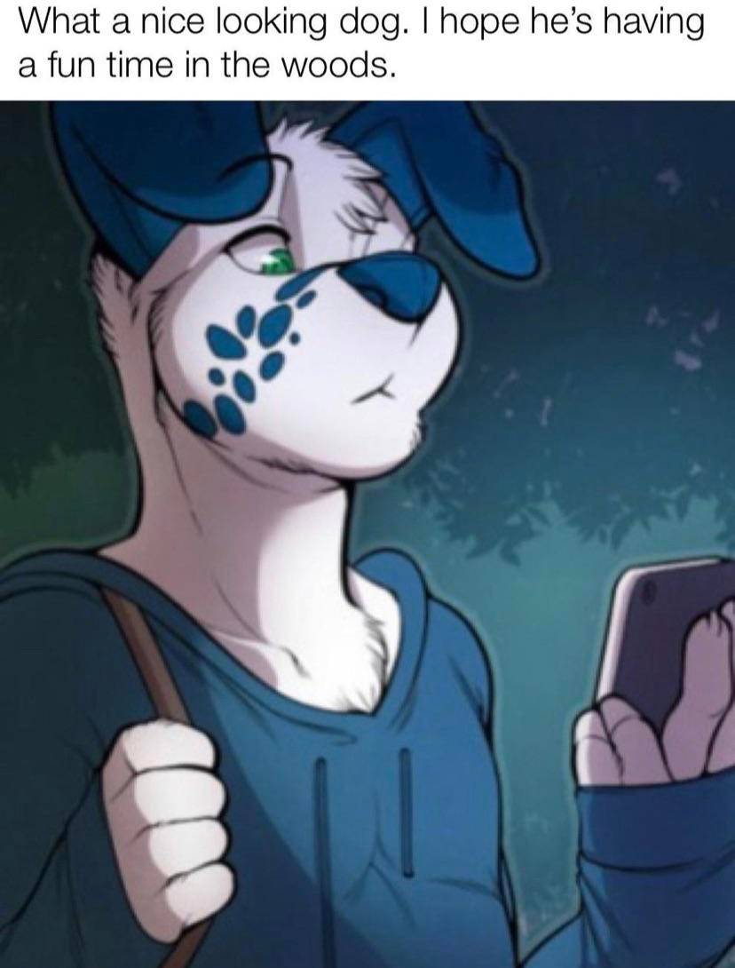 Furry_irl | Scrolller