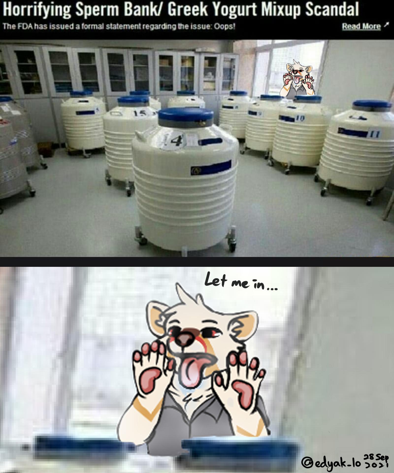 furry_irl | Scrolller