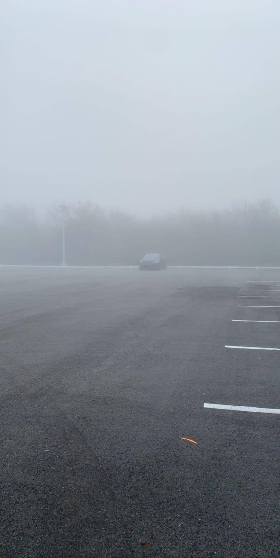 Fusion in the Fog | Scrolller