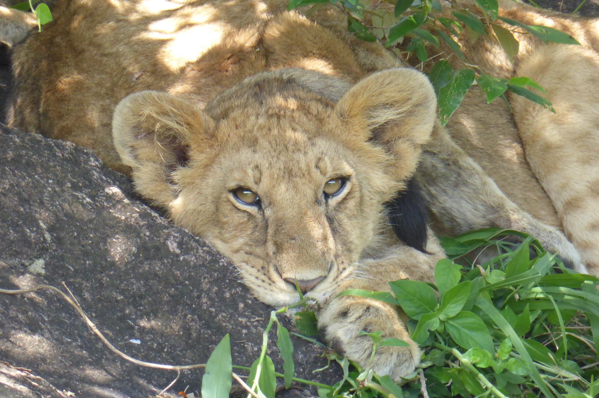 Future killing machine taking a rest. | Scrolller