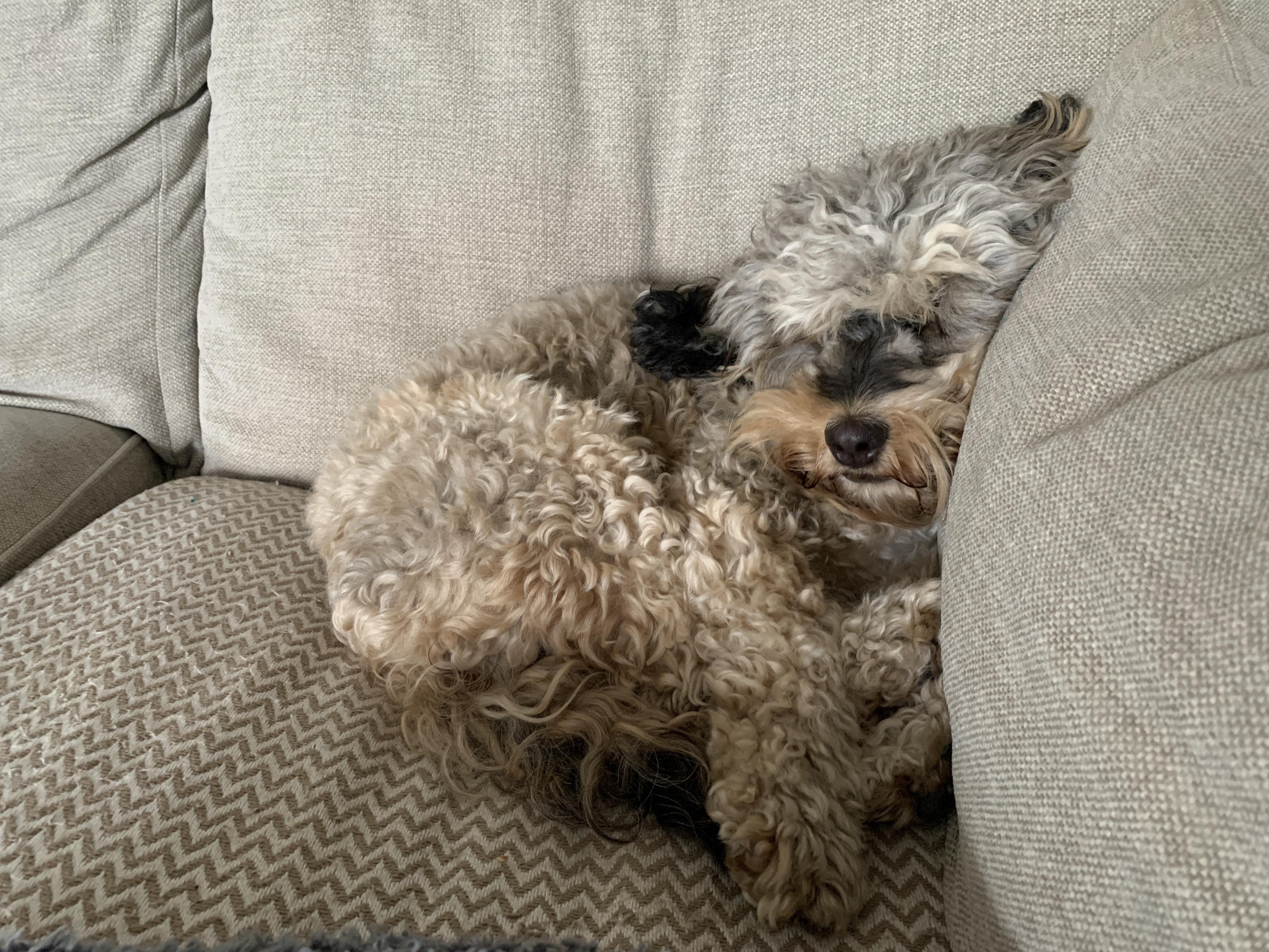 Fuzzy squish | Scrolller