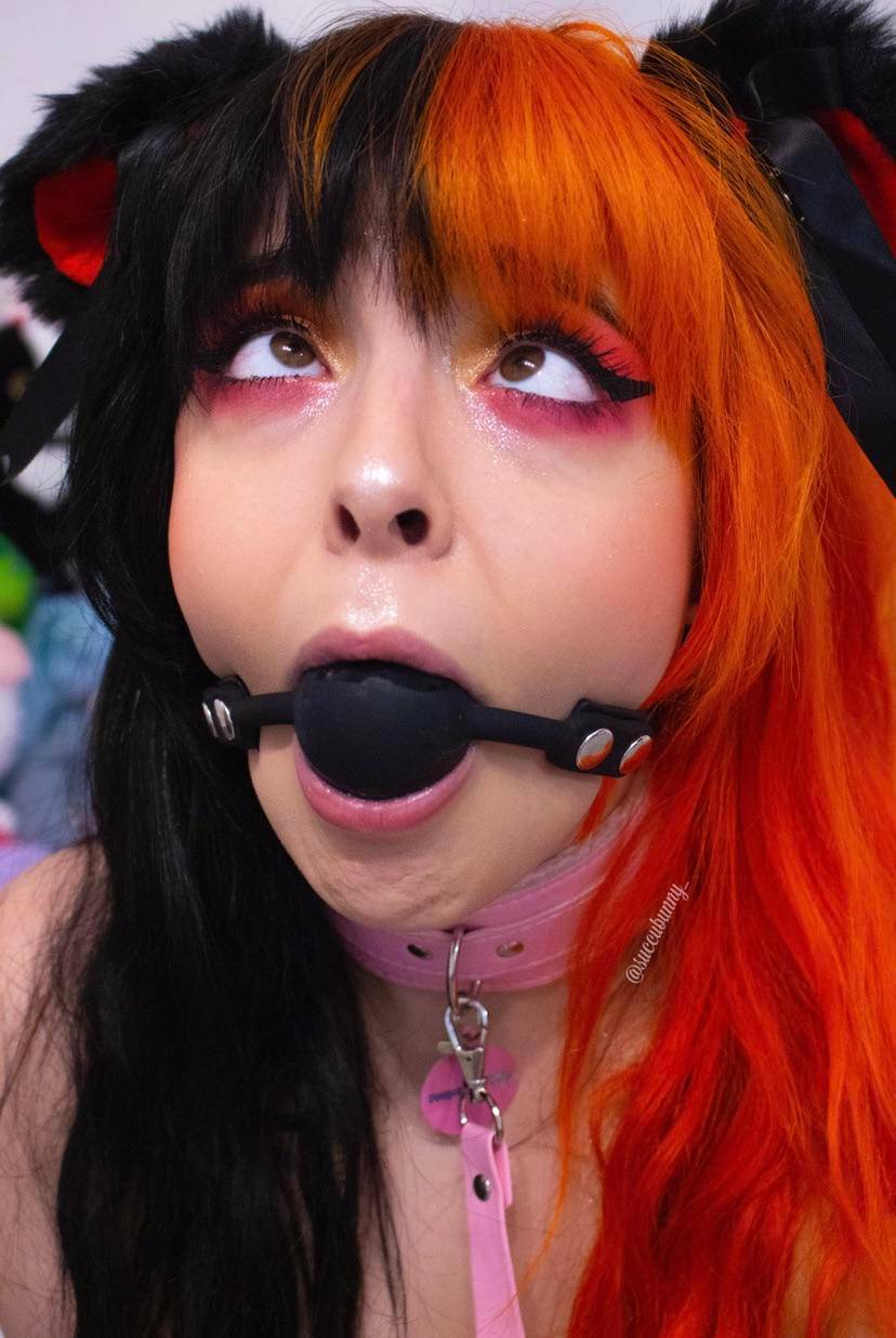 gagged, collared, and ready to play! | Scrolller