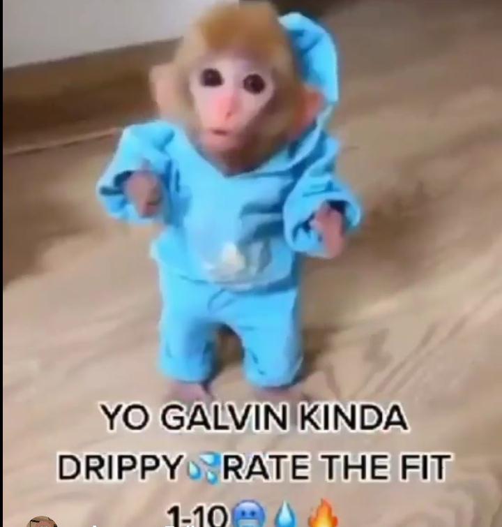 Galvin looking hella fresh | Scrolller