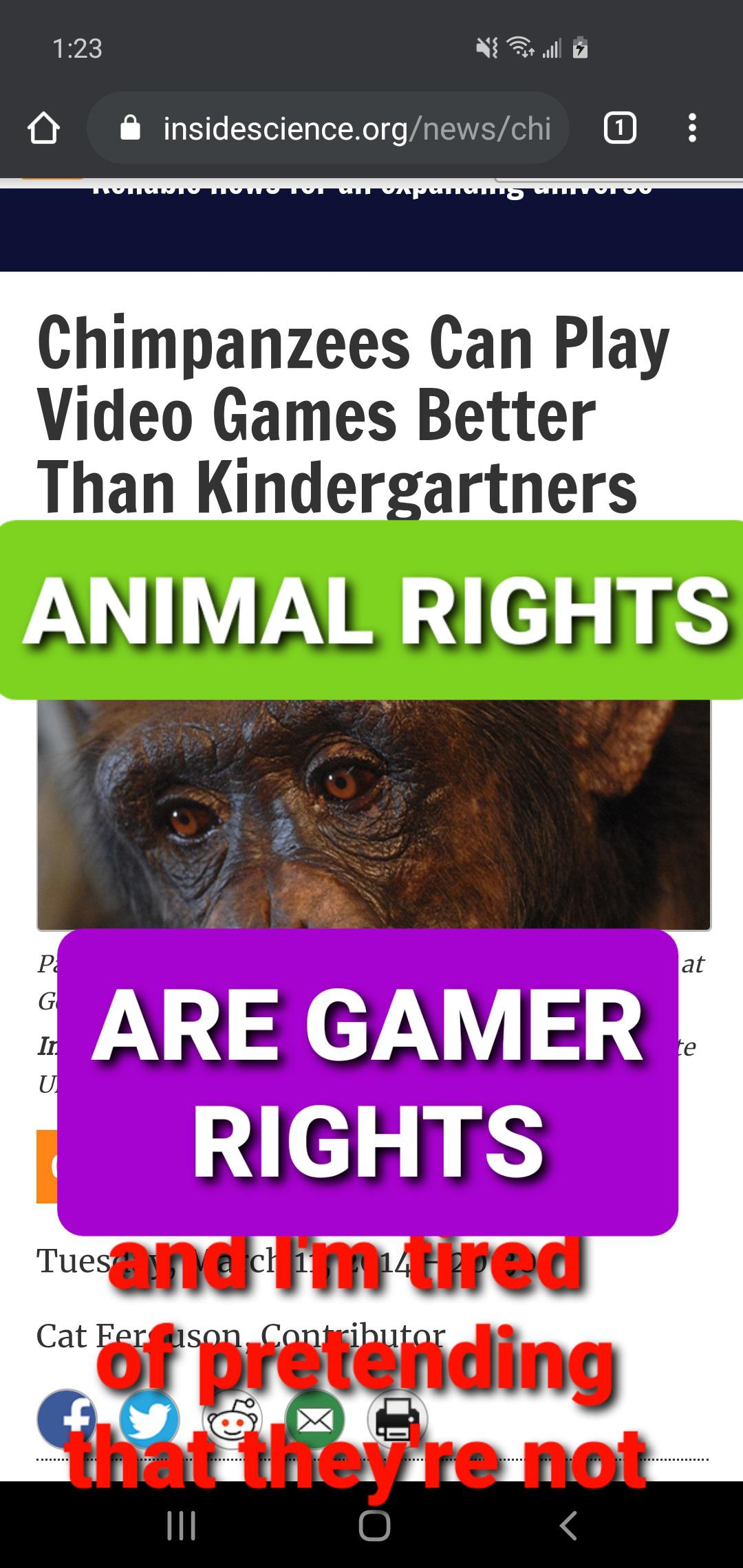 Gamer Monkey | Scrolller