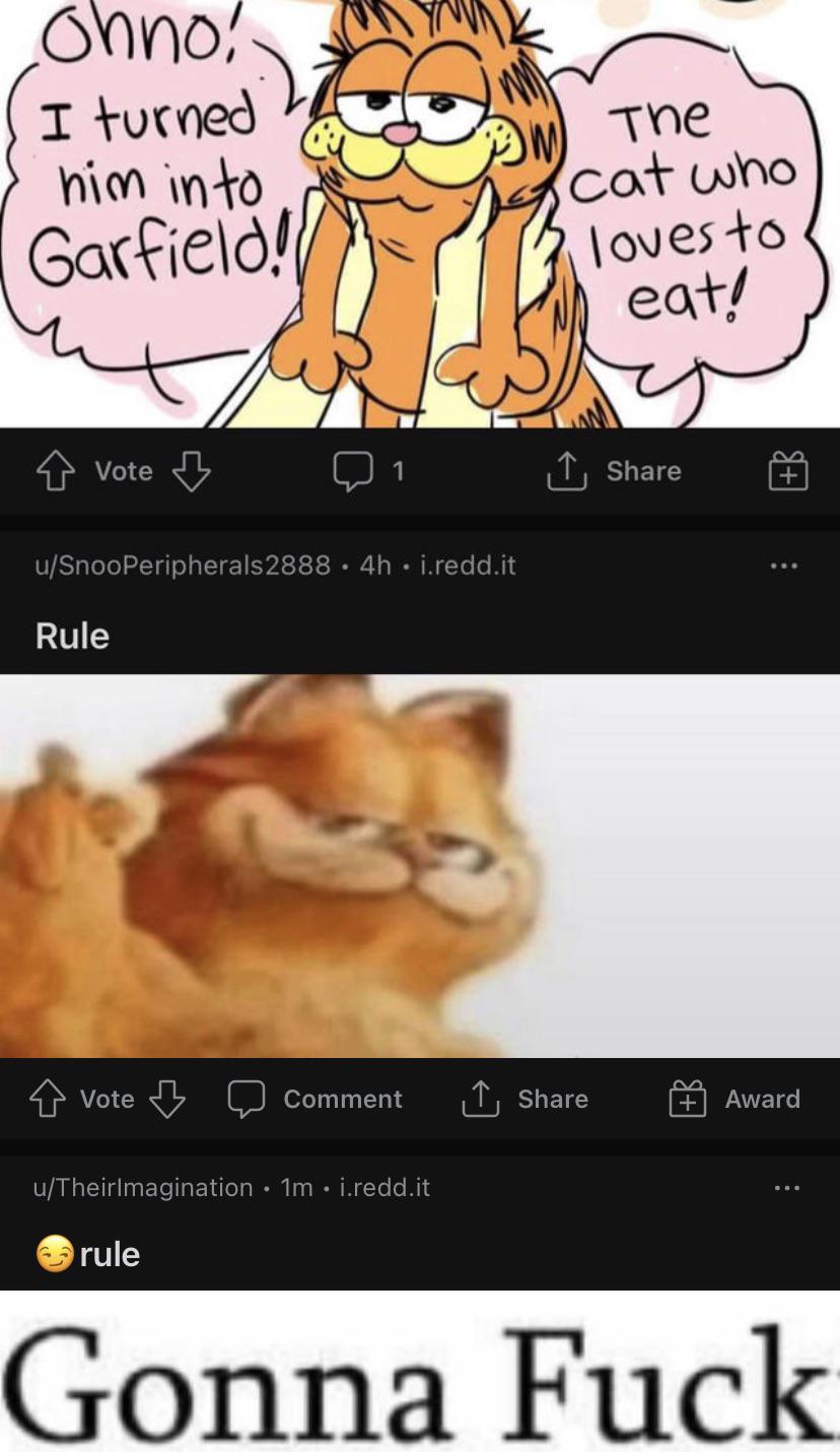 garfield rule | Scrolller