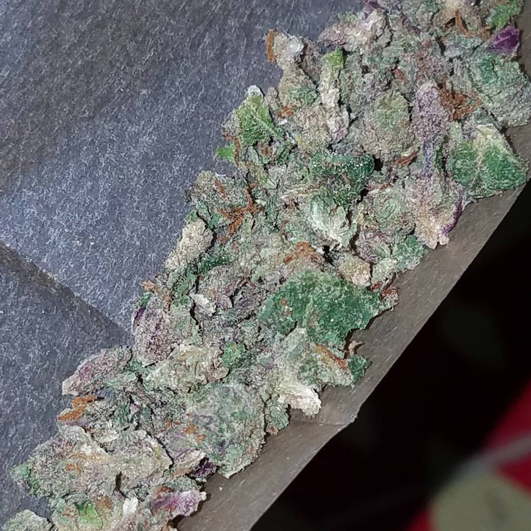 Gelato 33 . | Scrolller