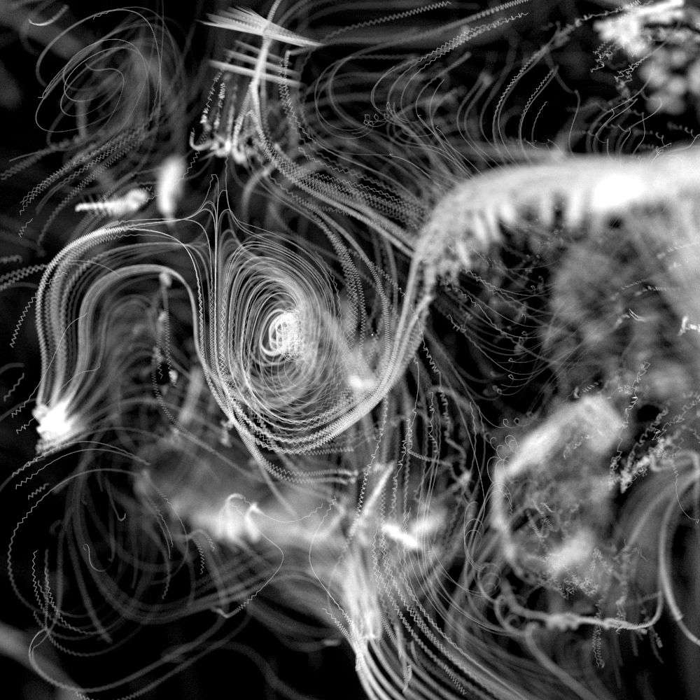 Generative swirls | Scrolller