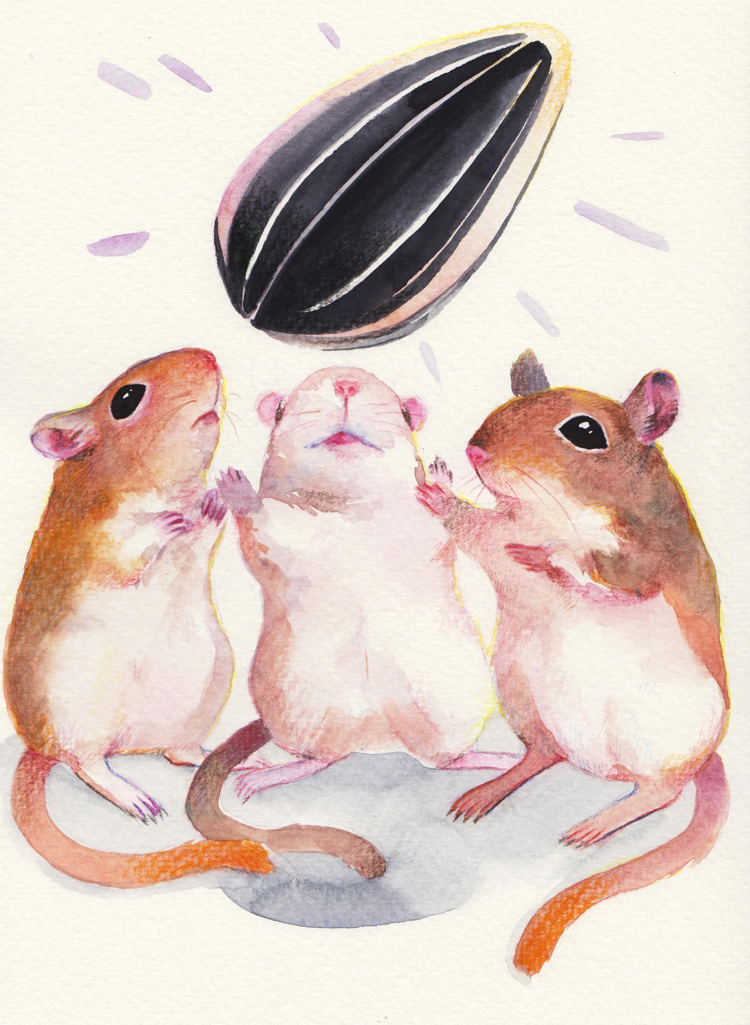 Gerbils' prayer, me, watercolor and colored pencil, 2020 ... because I freaking love gerbils ...
