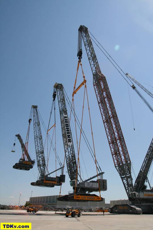 German cranes | Scrolller