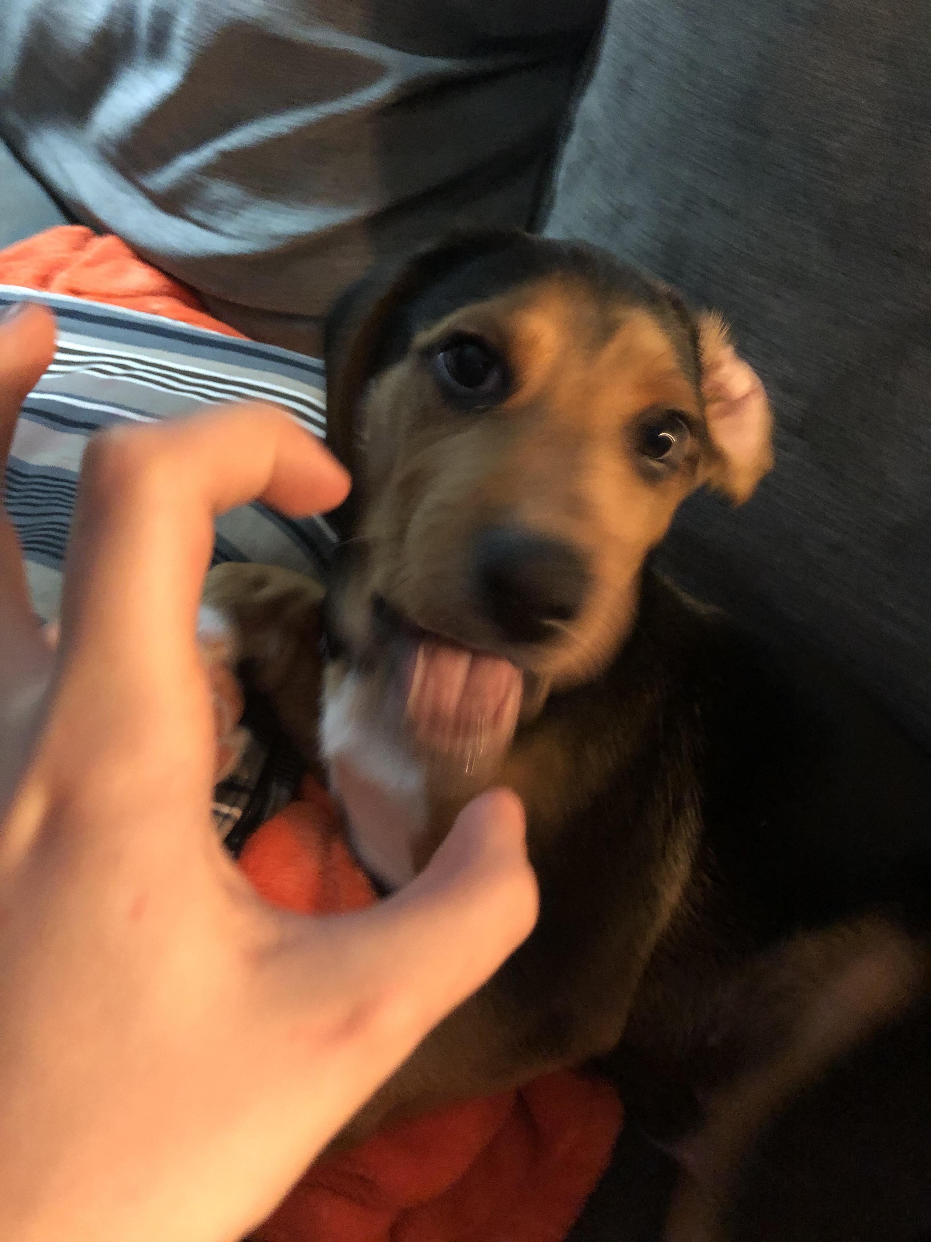 gEt’eM | Scrolller