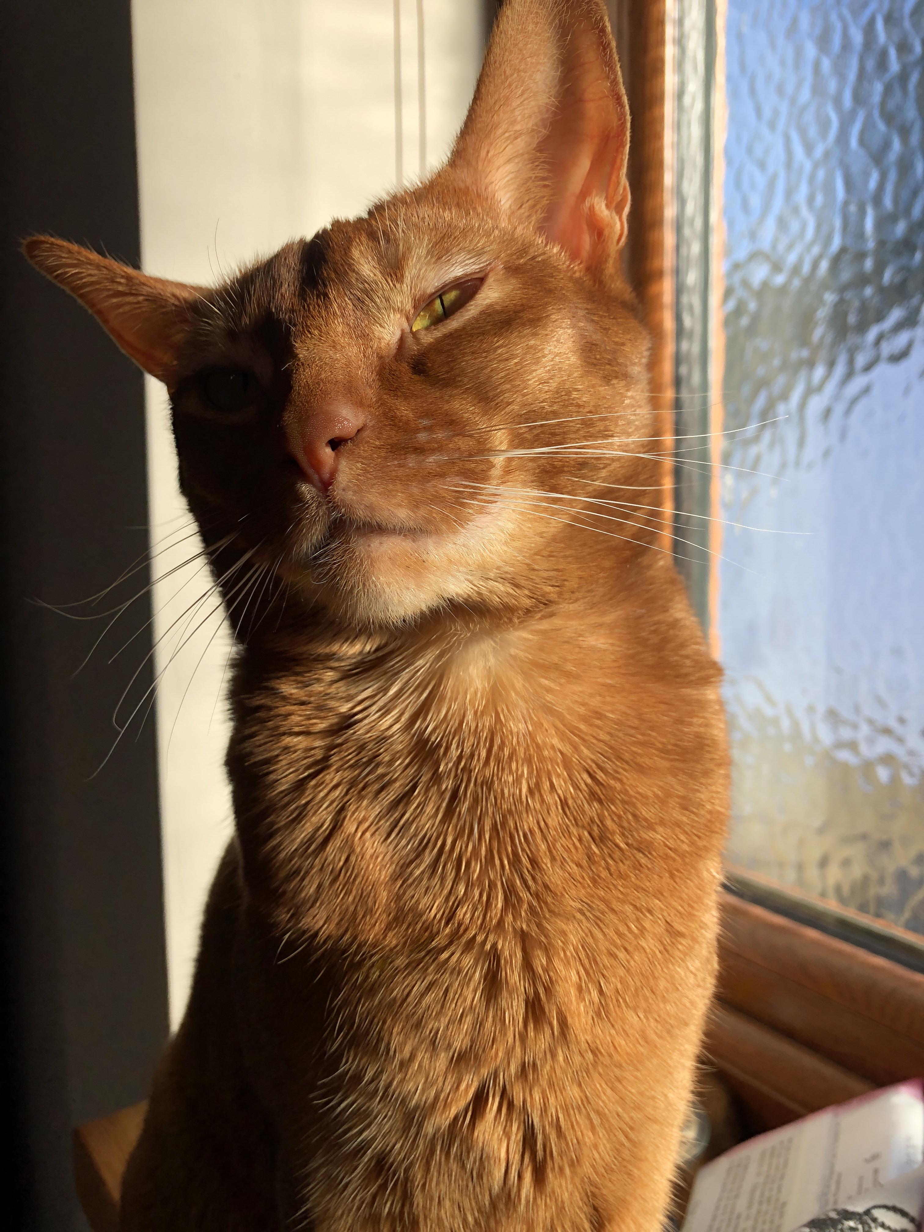 “Get my good side!” | Scrolller