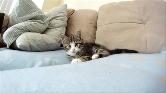 Get that camera outta here! | Scrolller