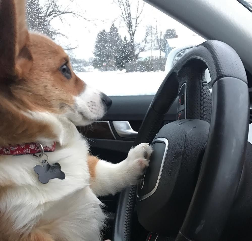 Getting his first driving experience | Scrolller