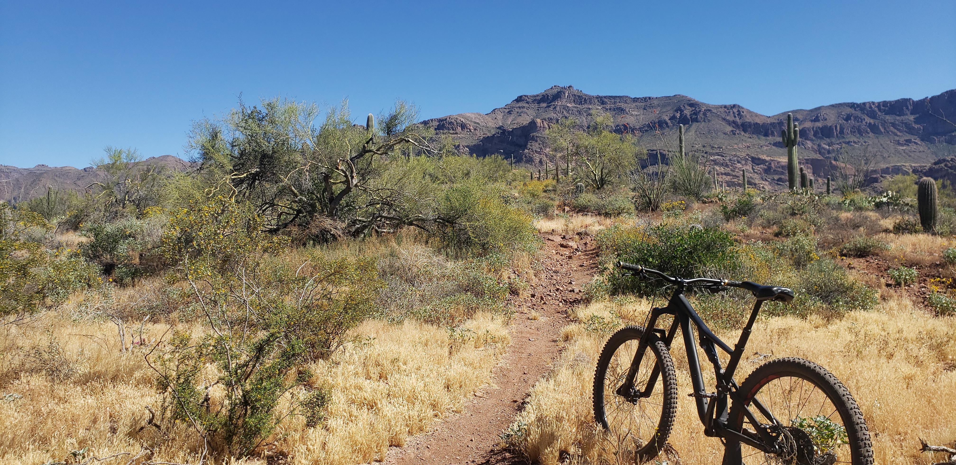 Getting hot out here in the desert! | Scrolller