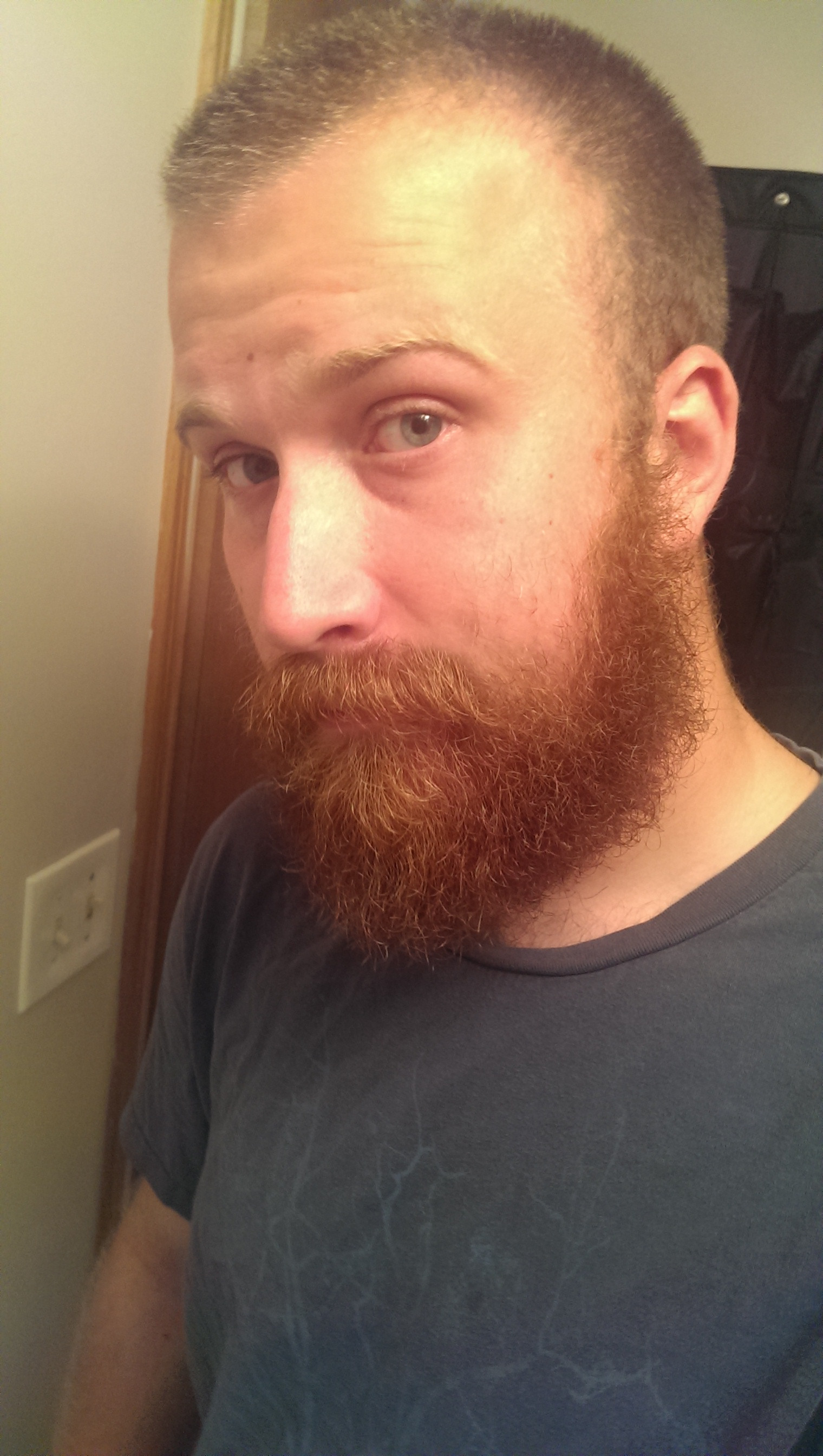 Getting no beard love from my friends. What do ya'll think? | Scrolller