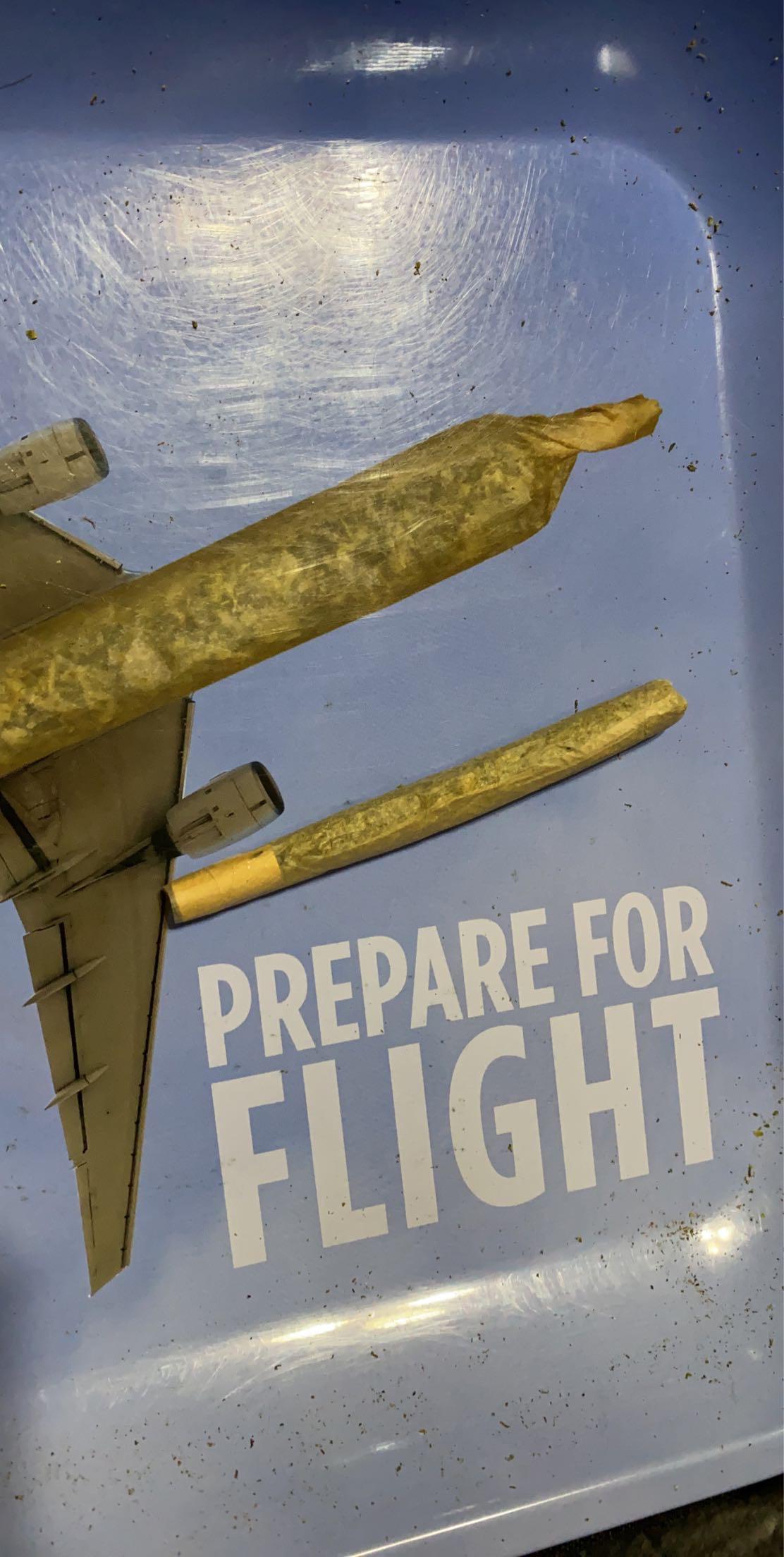 Getting ready for flight ️ | Scrolller