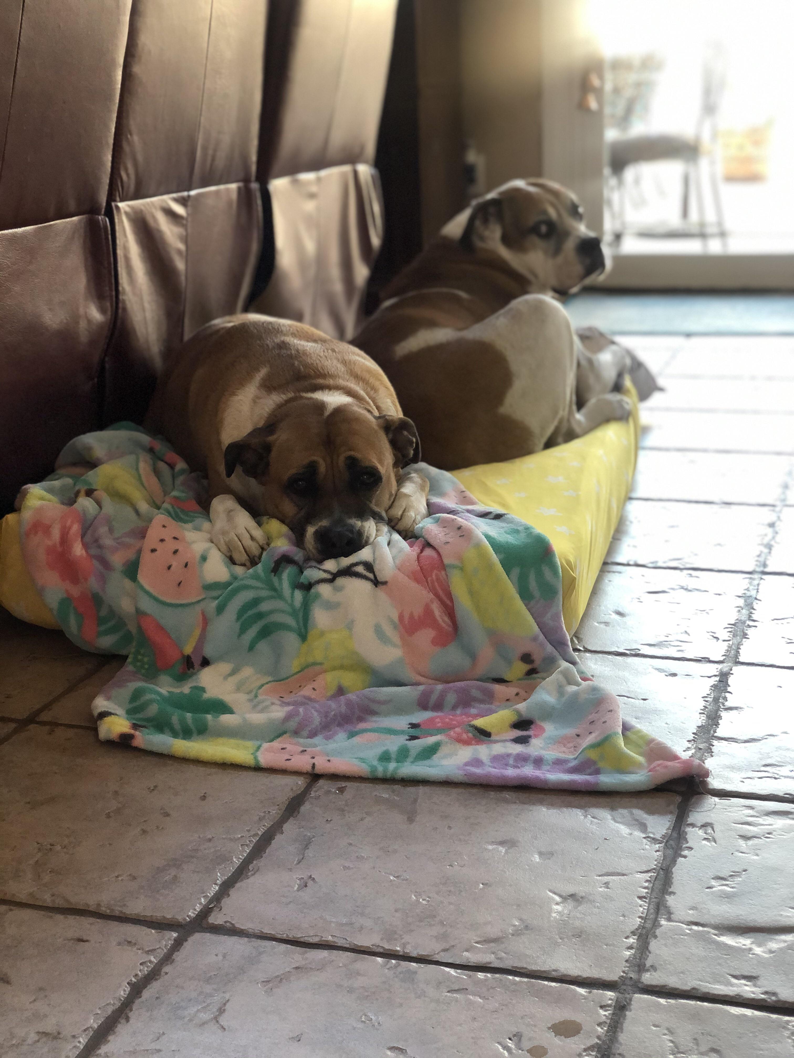 Getting ready for that afternoon nap | Scrolller